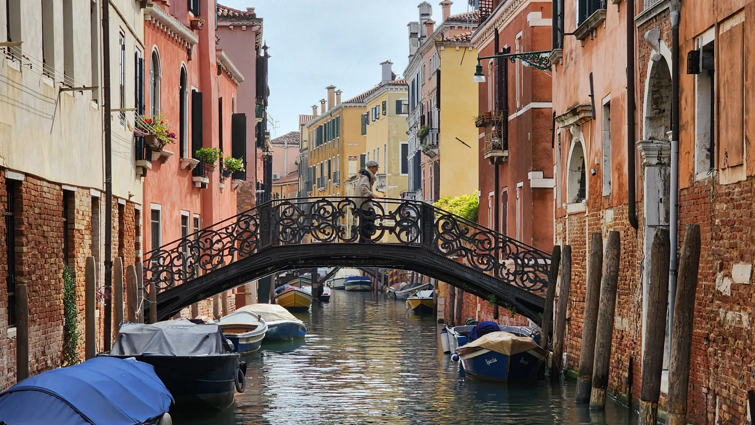 Bridges in Venice: Architectural Wonders to Explore | Bubbly Living ...